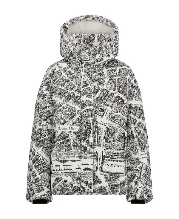 Dior Alps Hooded Down Jacket - Gray