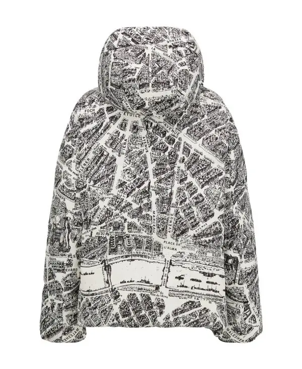 Dior Alps Hooded Down Jacket - Gray