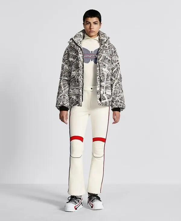 Dior Alps Hooded Down Jacket - Gray