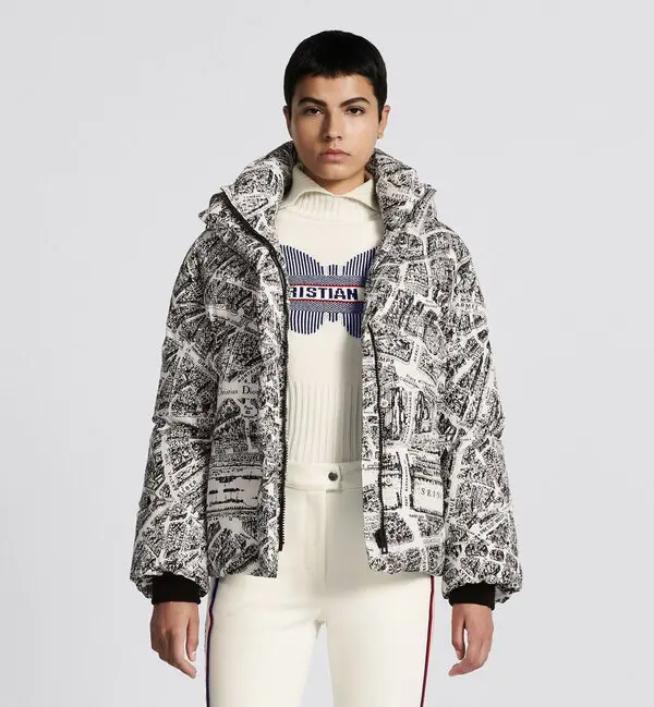 Dior Alps Hooded Down Jacket - Gray