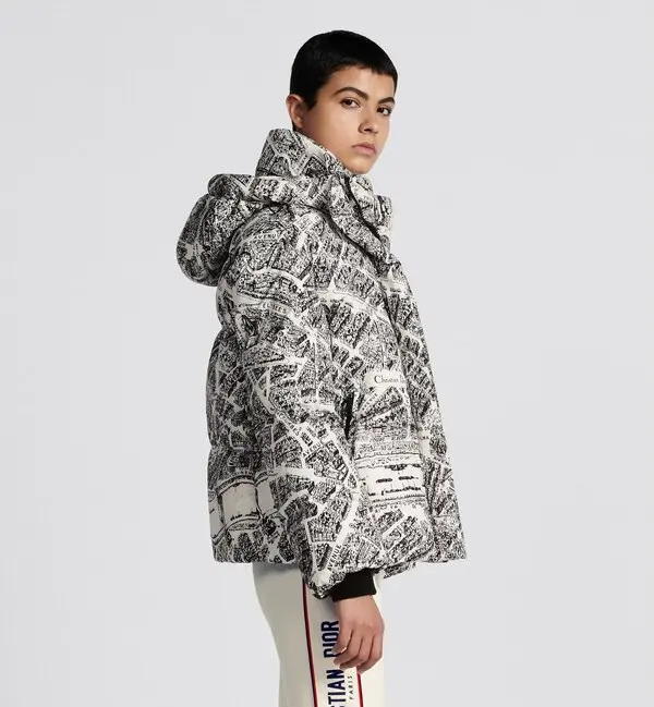 Dior Alps Hooded Down Jacket - Gray
