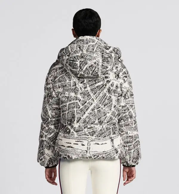 Dior Alps Hooded Down Jacket - Gray