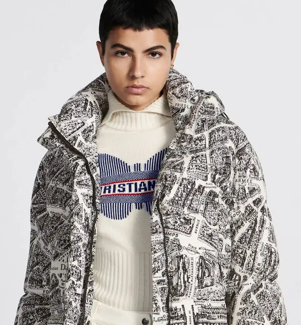 Dior Alps Hooded Down Jacket - Gray
