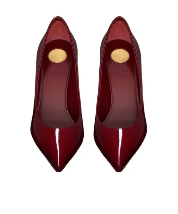Saint Laurent Norma Pointed Toe Pumps With Stiletto Heel