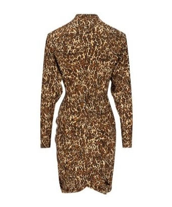 Isabel Marant Étoile Leopard Print Long Sleeve Dress