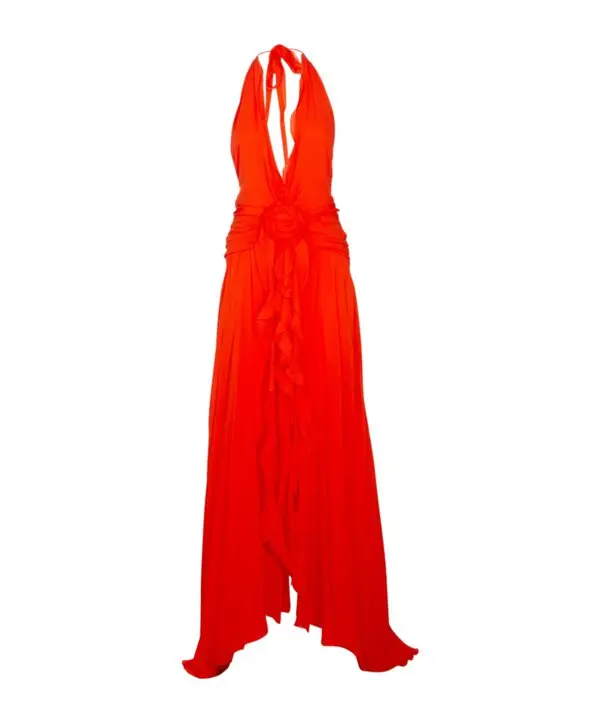 Blumarine V-neck Maxi Dress With Floral Embellishment