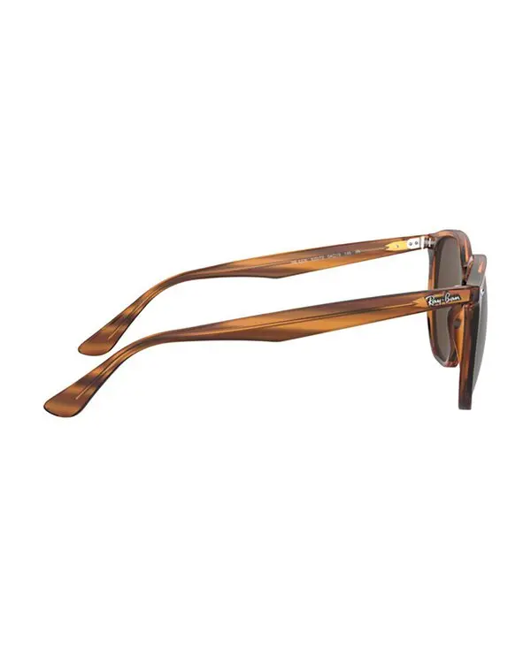 Ray-ban Rb4306 Sunglasses