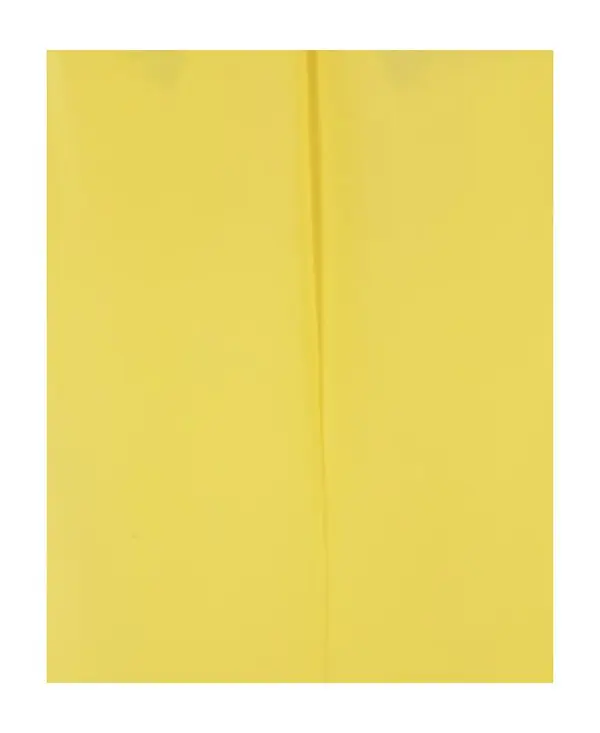 Valentino Garavani High Waist Maxi Skirt