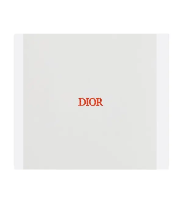 Dior Logo Embroidered Long-sleeved Shirt