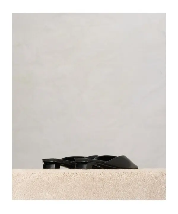 Ami Pointed Flat-soled Mules