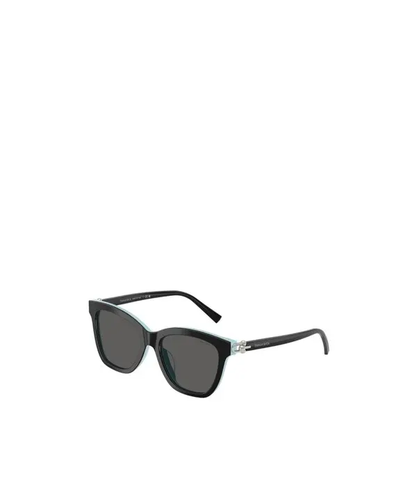 TIFFANY  CO. Tiffany & Co. Geometric Sunglasses