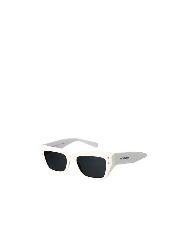 Dolce & Gabbana Full Rim Sunglasses