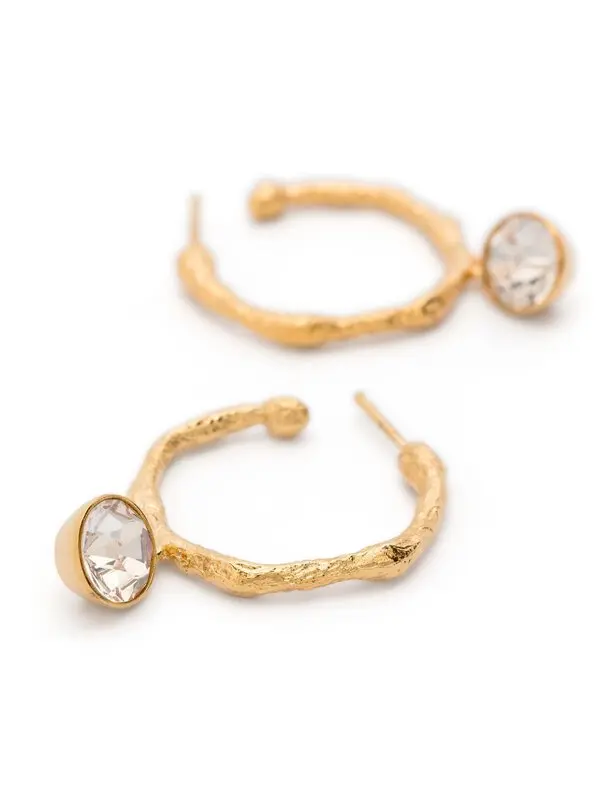FORTE_FORTE Hoop Earrings With Pendant - Crystal