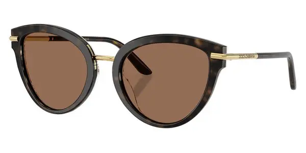 Dolce & Gabbana Full Frame Cat Eye Sunglasses