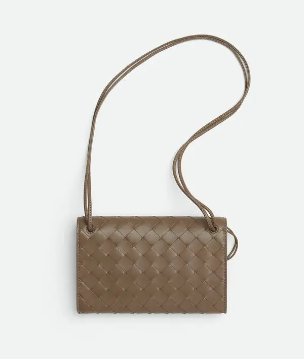 Bottega Veneta Andiamo Pouch On Strap - Pinecone