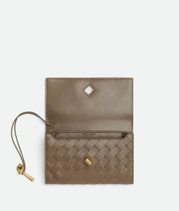 Bottega Veneta Andiamo Pouch On Strap - Pinecone