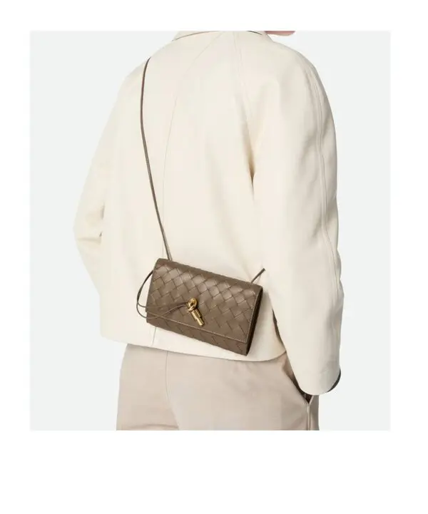Bottega Veneta Andiamo Pouch On Strap - Pinecone