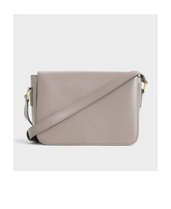 Celine Teen Triomphe Bag In Shiny Calfskin - Gray