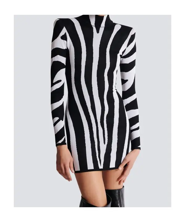 Balmain Zebra Intarsia Knit Mini Dress