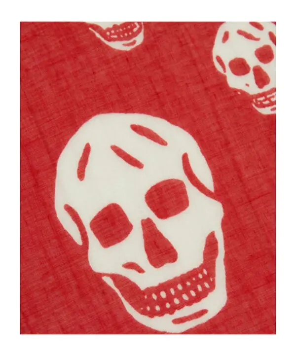 Alexander McQueen Skull Printed Scarf