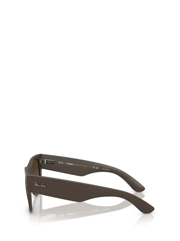 Ray-ban Wayfarer Polarized Sunglasses