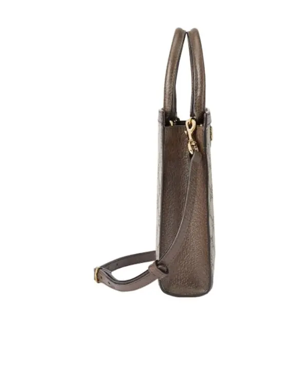 Gucci Ophidia Gg Super Mini Bag