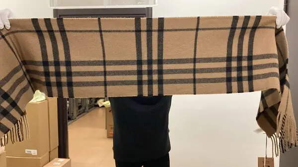 Burberry Fringed Scarf