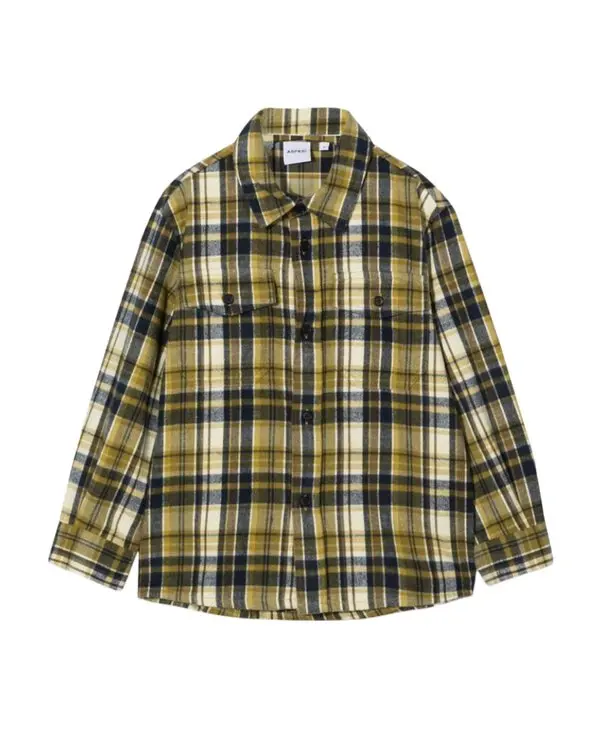 Aspesi Plaid Shirt - Green