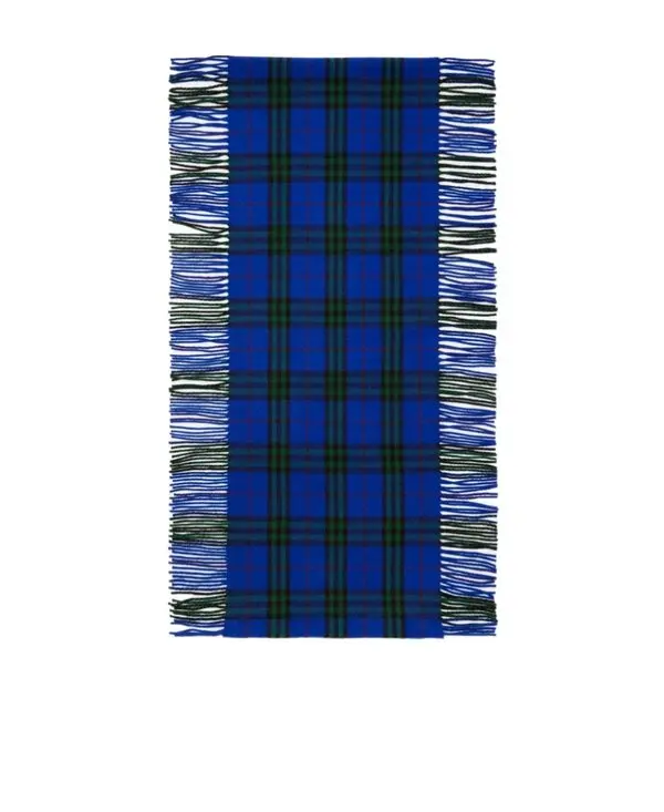 Burberry Check-pattern Fringed-edge Scarf - Blue