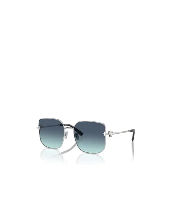 TIFFANY  CO. Tiffany & Co. Full Frame Sunglasses