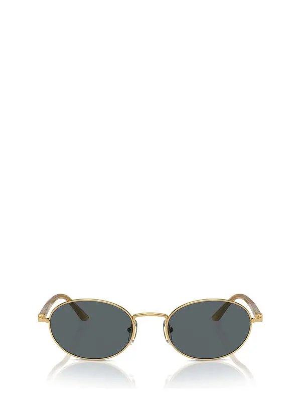 Persol Full Frame Oval Sunglasses