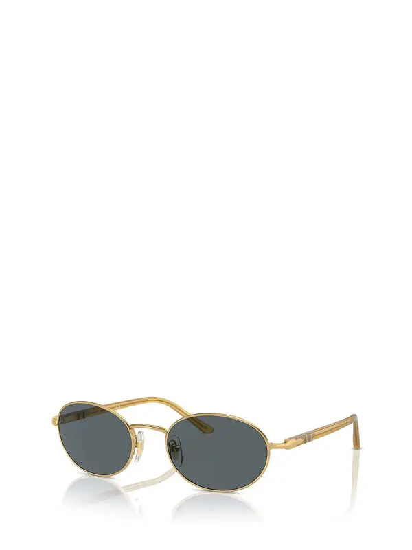 Persol Full Frame Oval Sunglasses