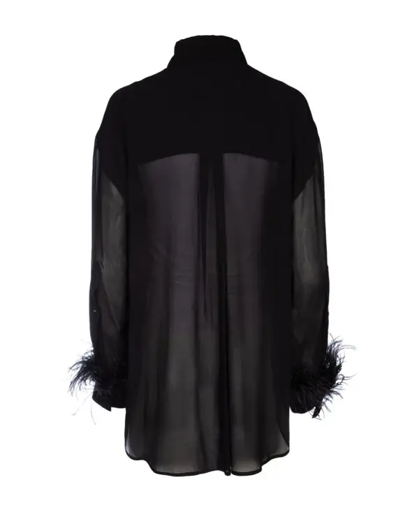 Pinko Semi-sheer Long-sleeved Georgette Shirt With Feather Detail