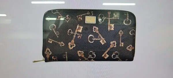 Dolce & Gabbana Printed Zipper Wallet