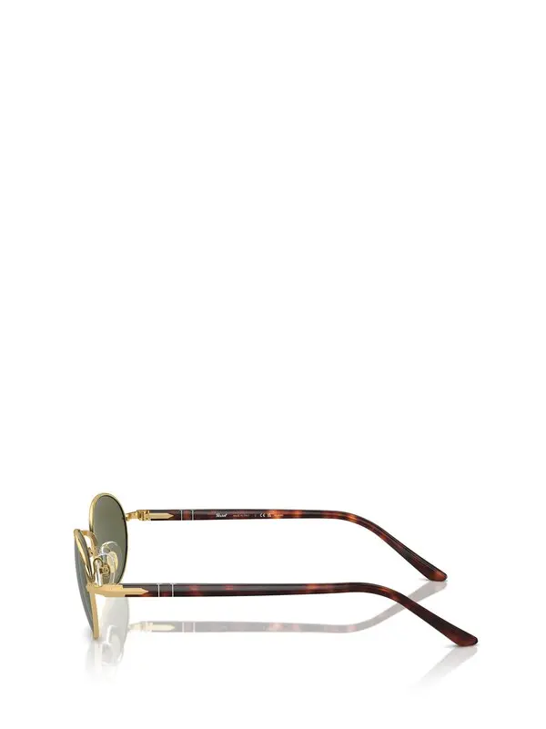Persol Full Frame Oval Sunglasses