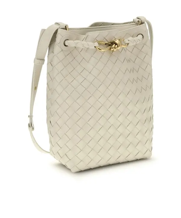Bottega Veneta Andiamo Small Bucket Bag - Nude