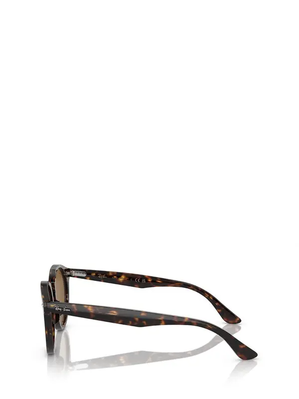 Ray-ban Round Frame Sunglasses