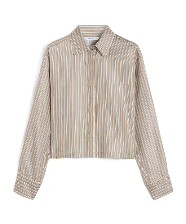 Max Mara Brama Striped Button-up Shirt