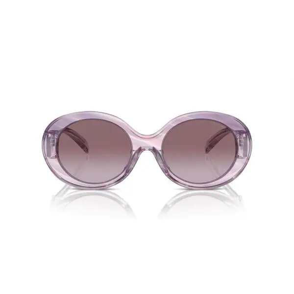 Emporio Armani Full Rim Oval Sunglasses - Gray