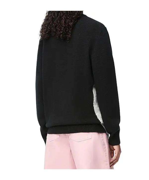 Loewe Wool Cardigan With V-neck
