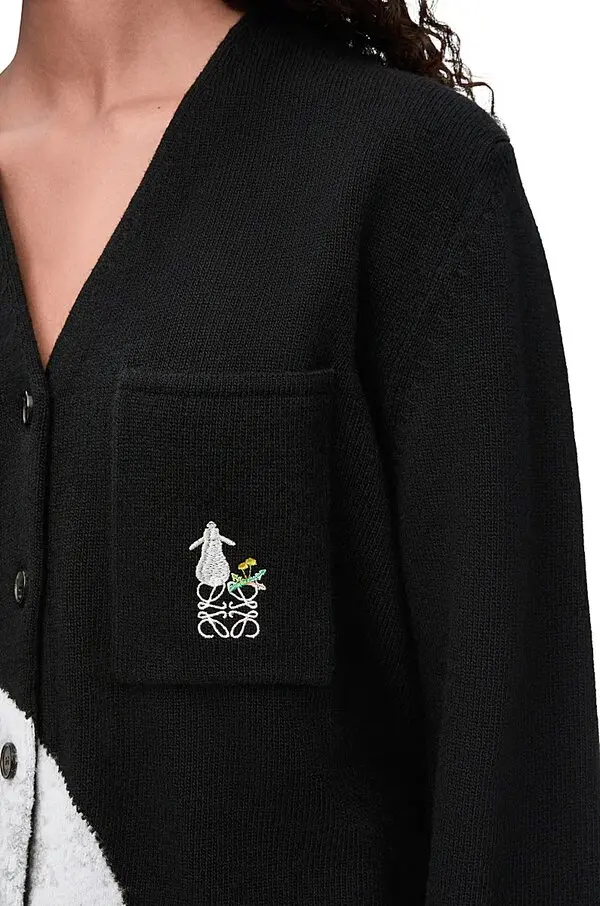 Loewe Wool Cardigan With V-neck