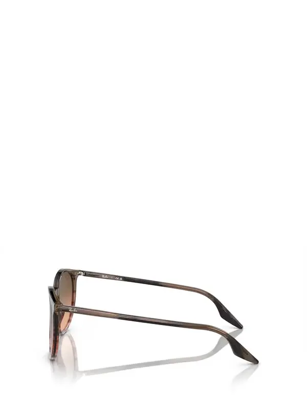 Ray-ban Rb2204 Oval-frame Sunglasses