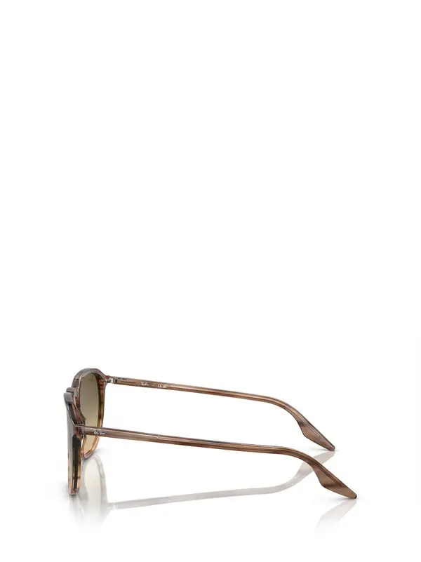 Ray-ban Erika Round-frame Sunglasses