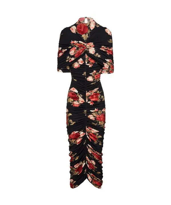 Magda Butrym Printed Pleated Cape Dress