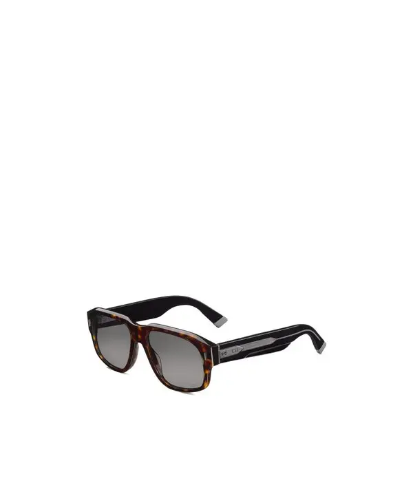 Dior Cd Logo Sunglasses
