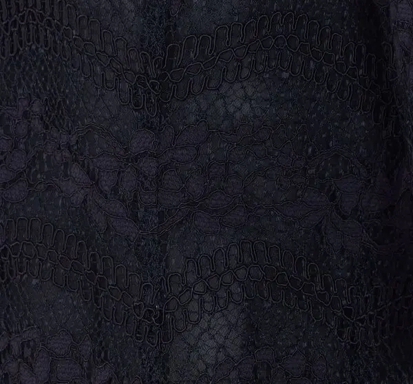 TWINSET Lace Sheer Long-sleeve Top