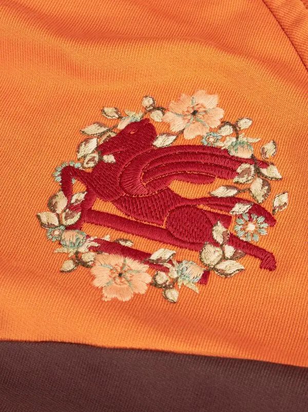Etro Two-tone Drawstring Hoodie With Embroidered Pegaso - Red