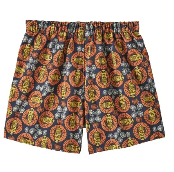 Patagonia Baggies Shorts