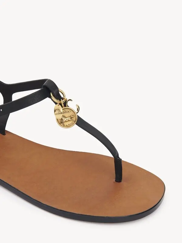 Chloé Charms Buckled Ankle Strap Sandals