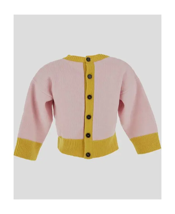 Marni Logo-intarsia Cropped Jumper